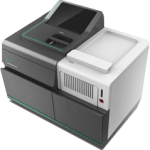 FISH (Fluorescence In Situ Hybridization) - labex